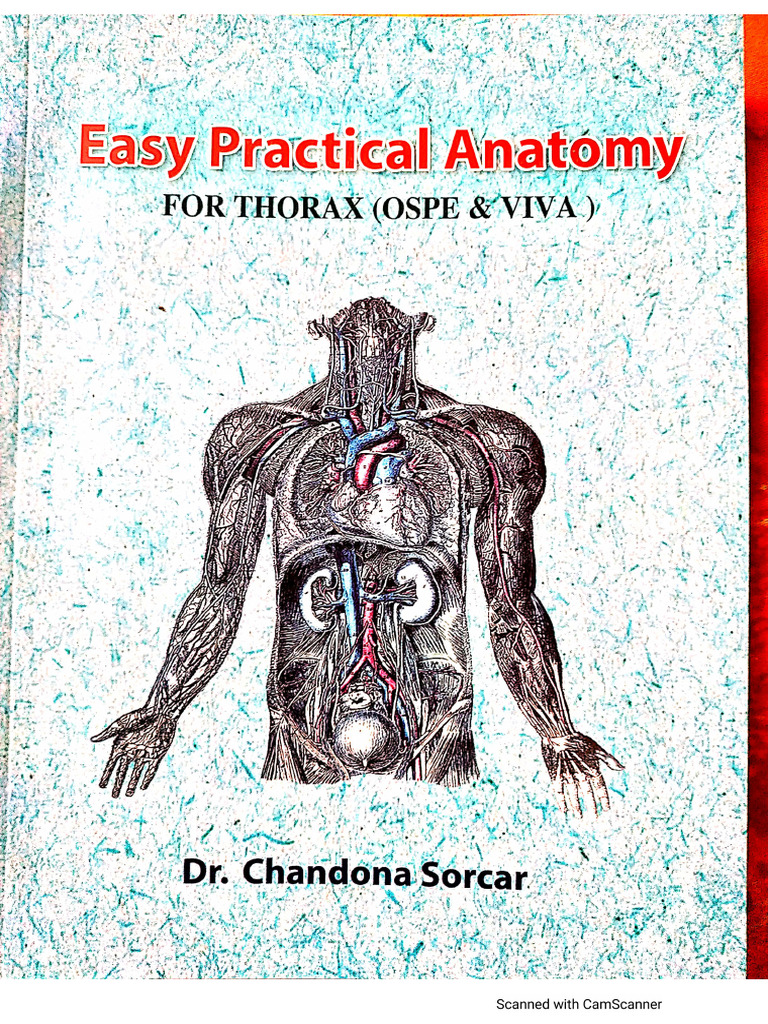 Easy Practical Anatomy(Thorax) 241228 020516 | PDF
