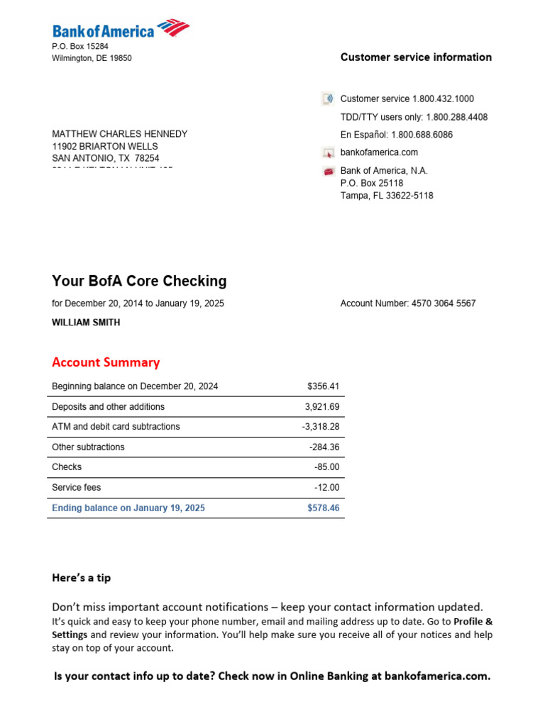 Bank of America Tax Statement Summary | PDF