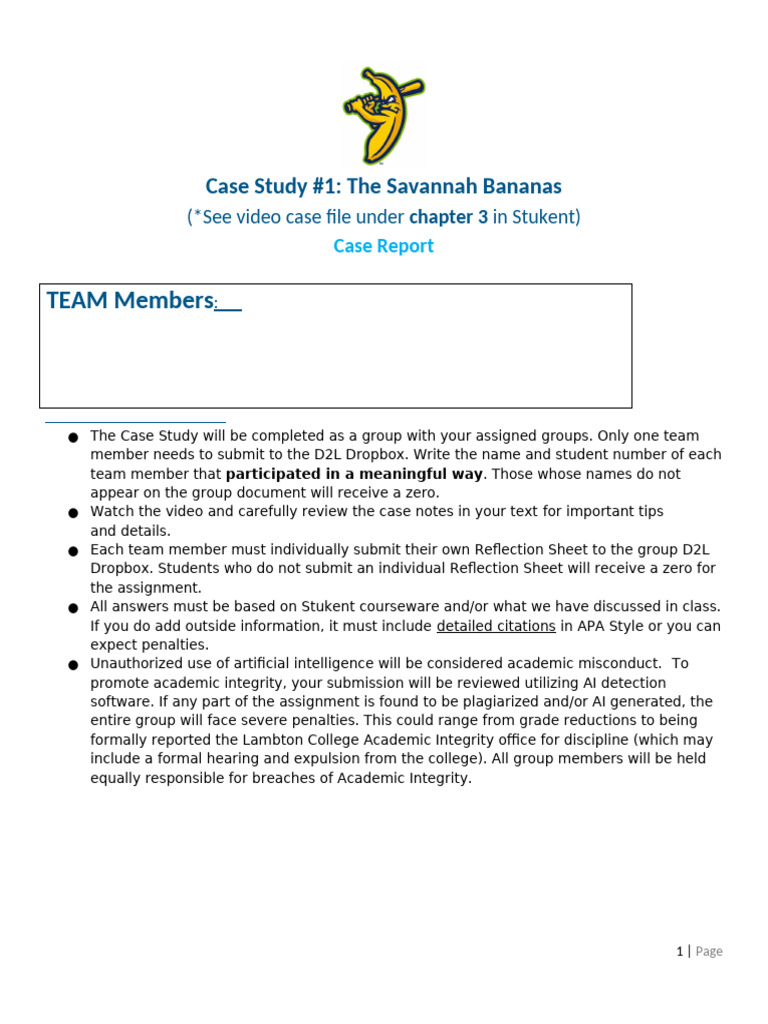 Savannah Bananas Target Market Analysis | PDF | Academic Integrity