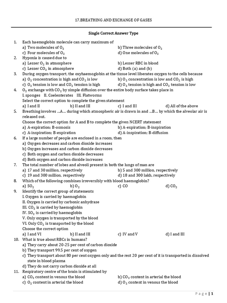 Breathing and Exchange of Gases-1 | PDF | Respiratory System | Breathing