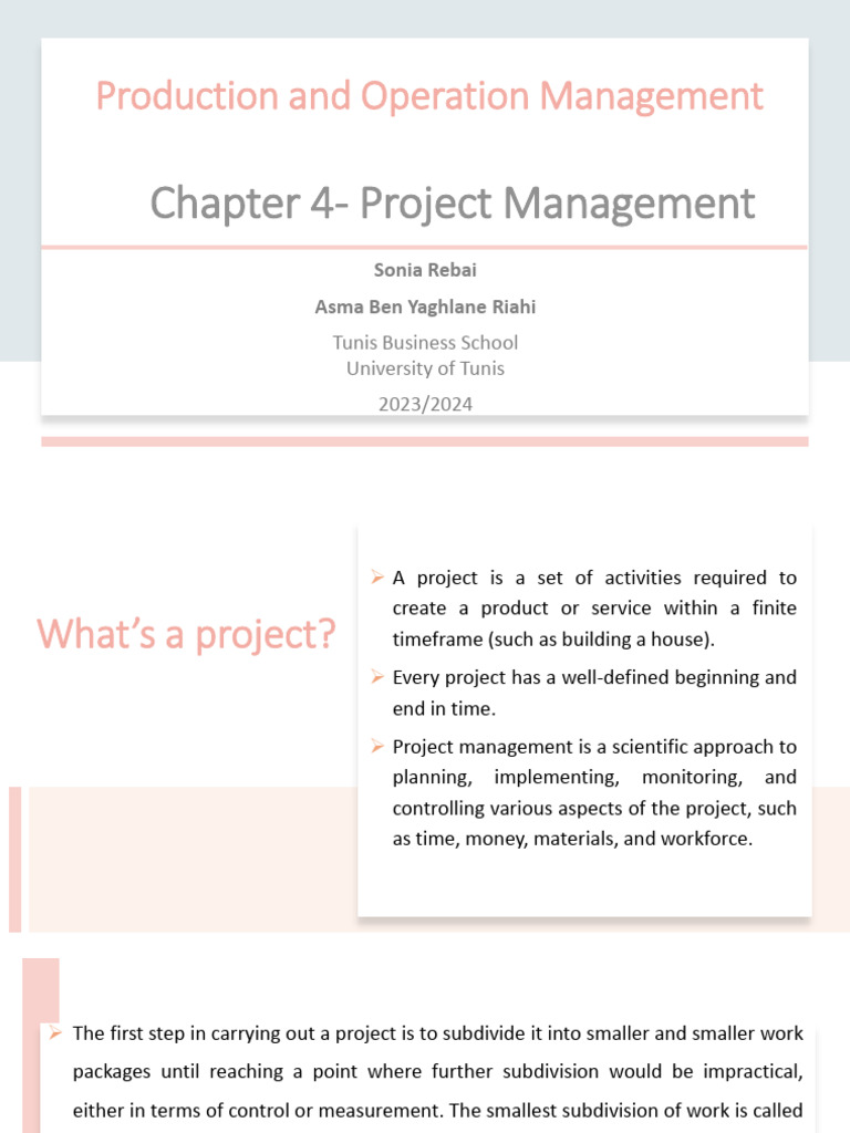 Project Management Techniques Explained | PDF | Project Management | Applied Mathematics