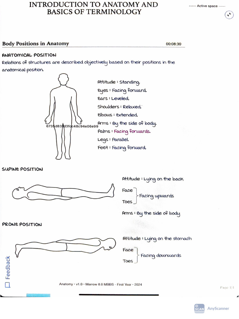 General Anatomy | PDF