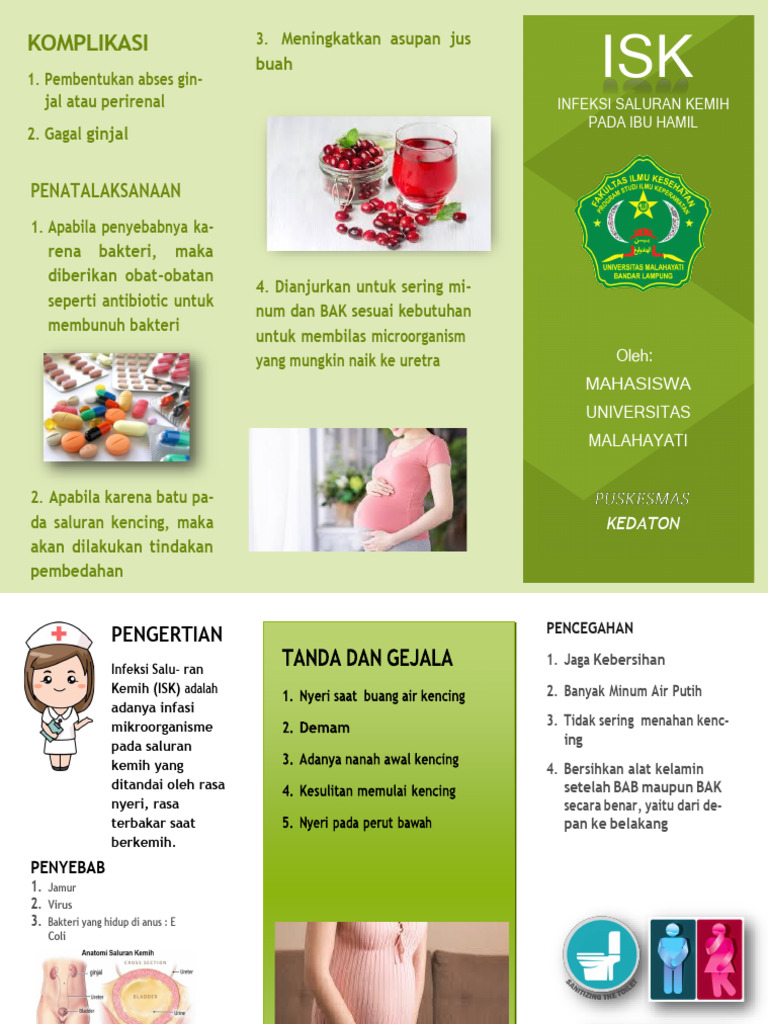Leaflet ISK Pada ibu hamil | PDF