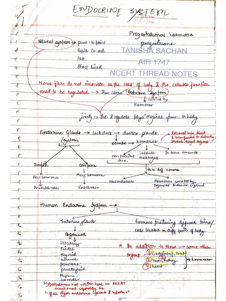Endocrine System Ncert Thread Notes | PDF
