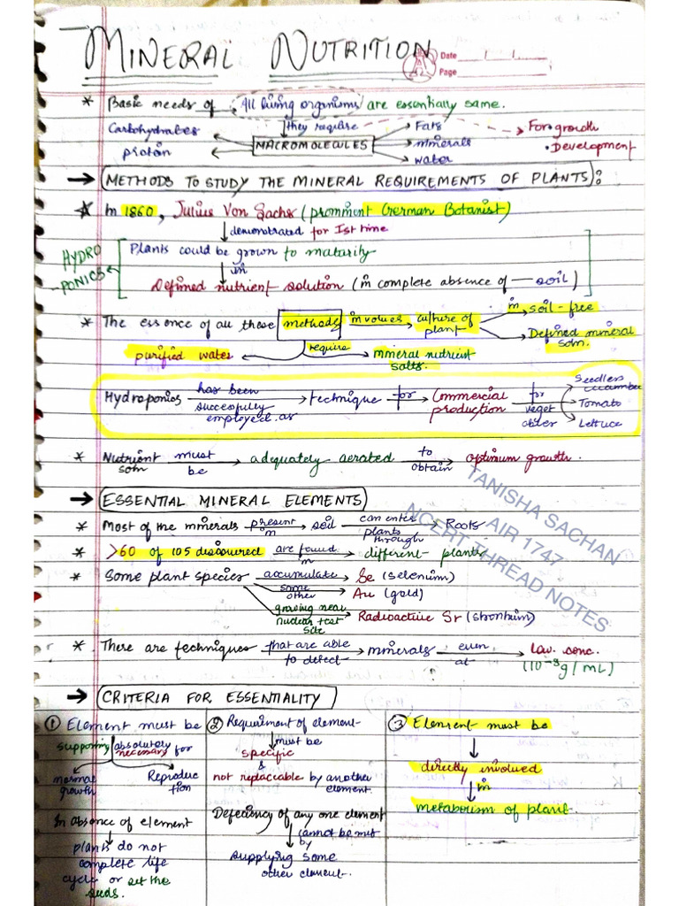 Mineral Nutrition Ncert Thread Notes | PDF