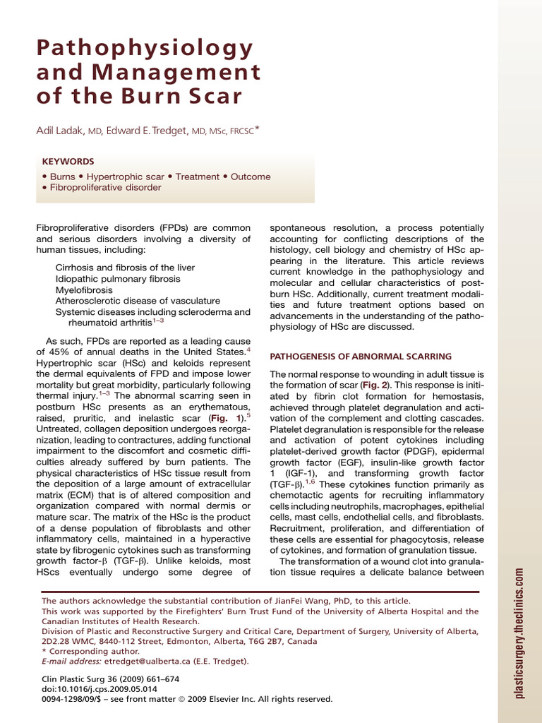 Fisiopatologia de La Cicatriz Quemadura | PDF | Wound Healing | Scar