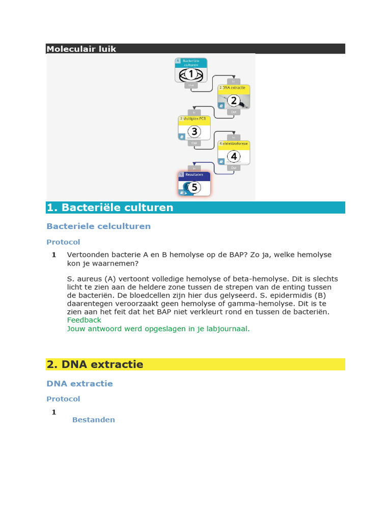 Verslag LKMD 1 MD | PDF