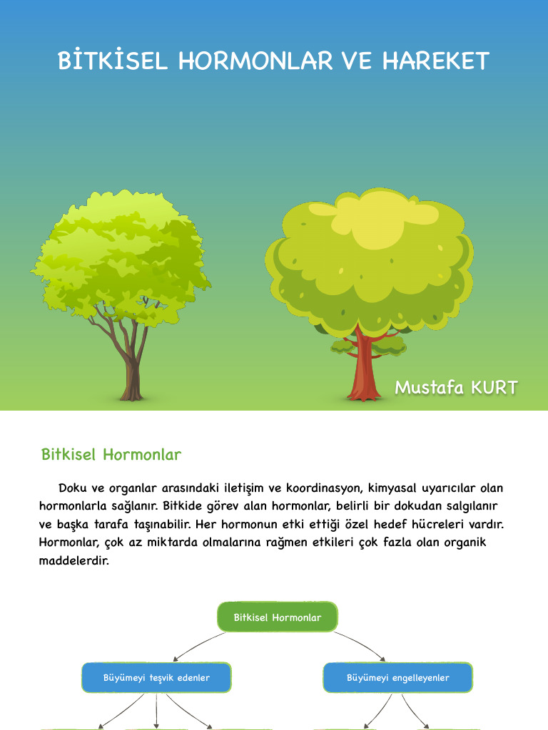 Bitkisel Hormonlar Ve Hareket | PDF