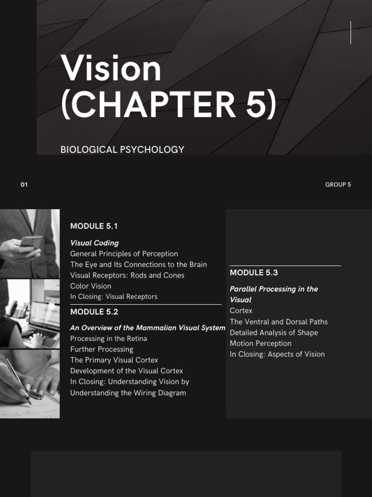 CHAPTER 5 | PDF | Visual System | Visual Cortex
