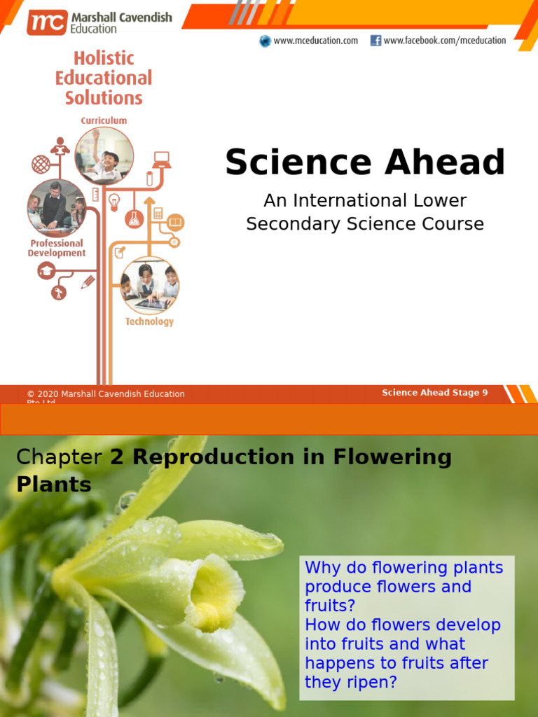 Reproduction in Flowering Plants | PDF | Flowers | Pollination