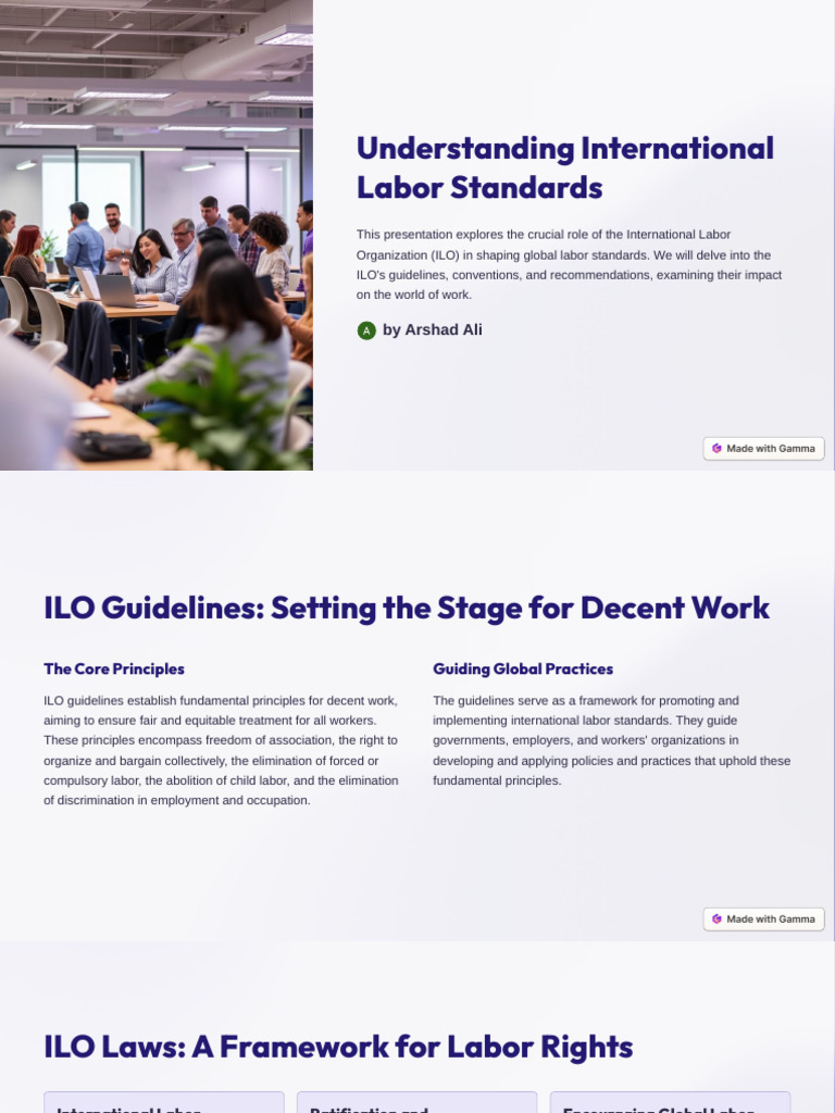 ILO C155: Enhancing Workplace Safety | PDF | Occupational Safety And ...