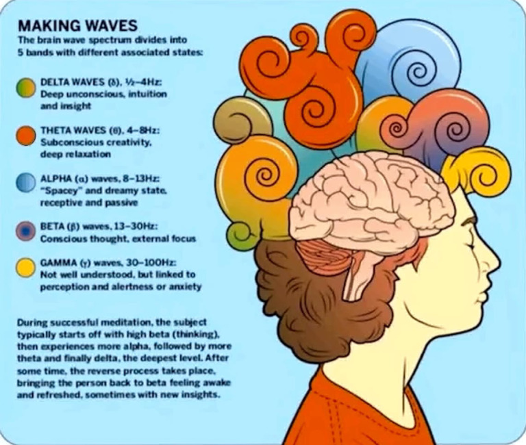 Brain Waves | PDF