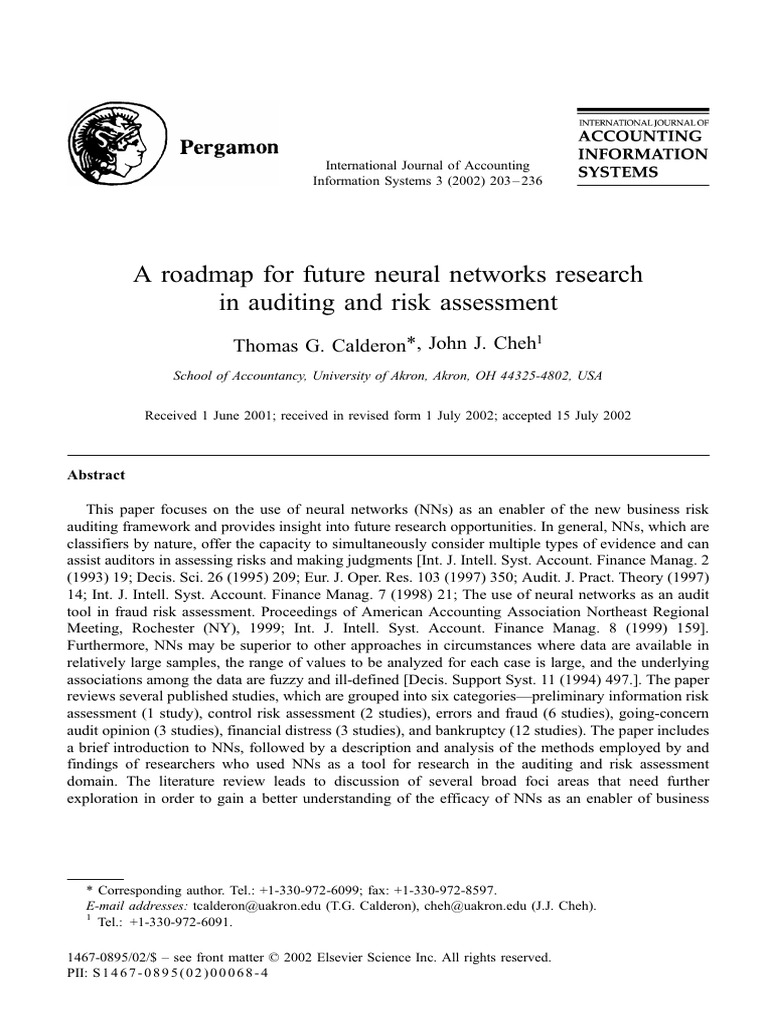 A Roadmap For Future Neural Networks Research in Auditing and Risk ...