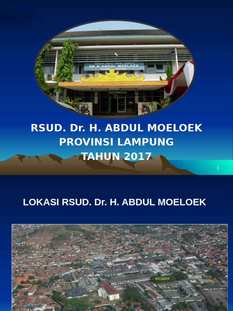 Profile Instalasi Limbah Rsam 2017 | PDF