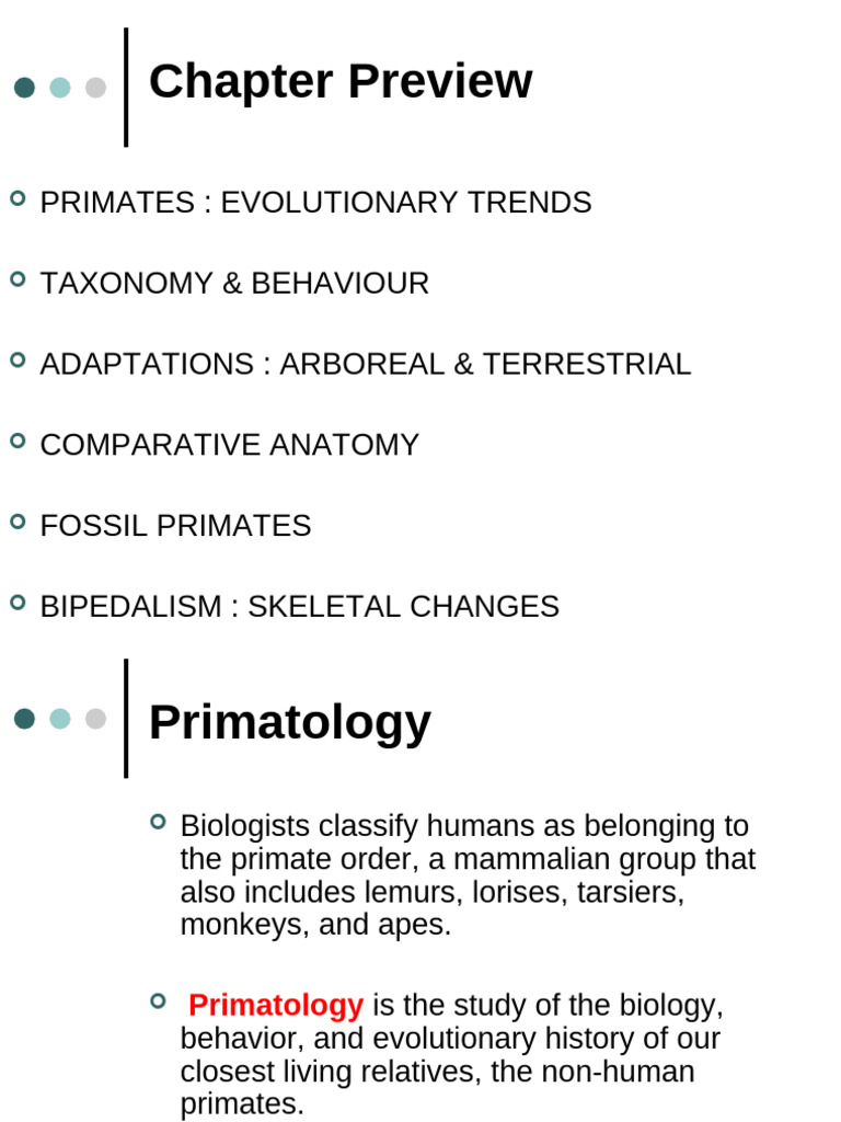 Primate Studies BASIC CONCEPTS | PDF | Ape | Monkey