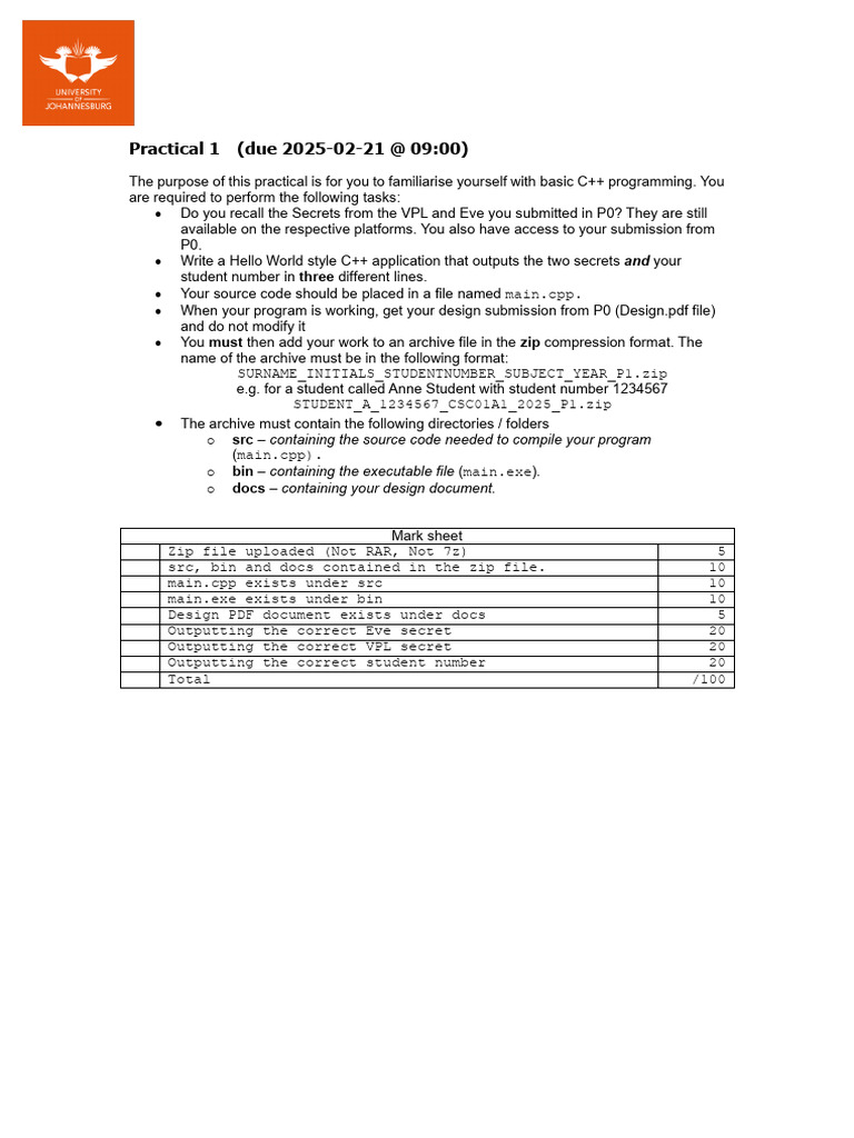 C++ Practical Assignment Guidelines | PDF