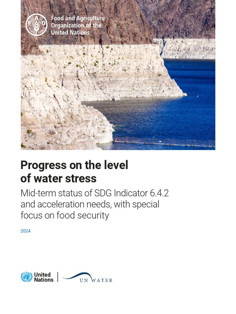 SDG6 Indicator Report 642 Progress-Of-Water-Stress 2024 EN | PDF | Water Scarcity | Sustainability