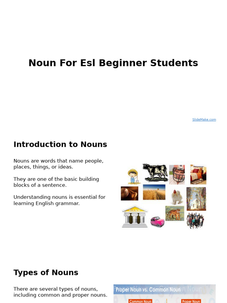 Nouns Guide for ESL Beginners | PDF