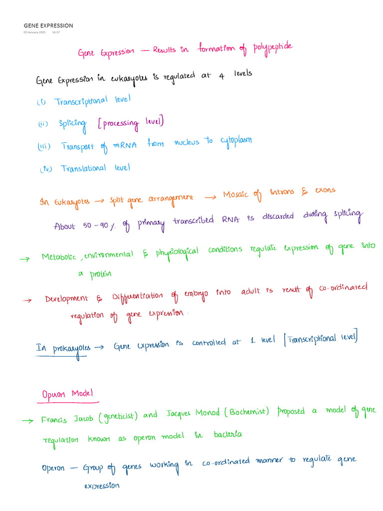 Understanding Gene Expression Basics | PDF