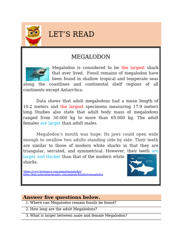 Reading Text - Megalodon | PDF