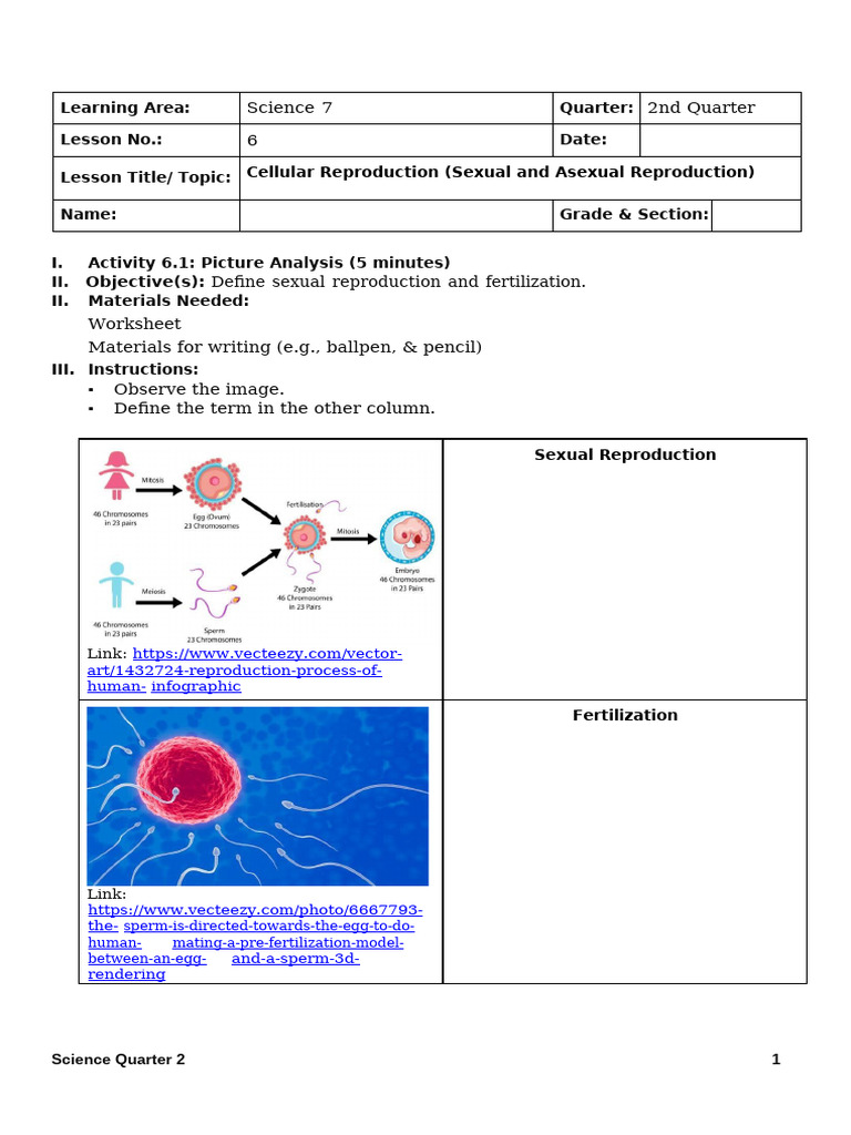 Science 7: Cellular Reproduction | PDF | Reproduction | Sexual Reproduction