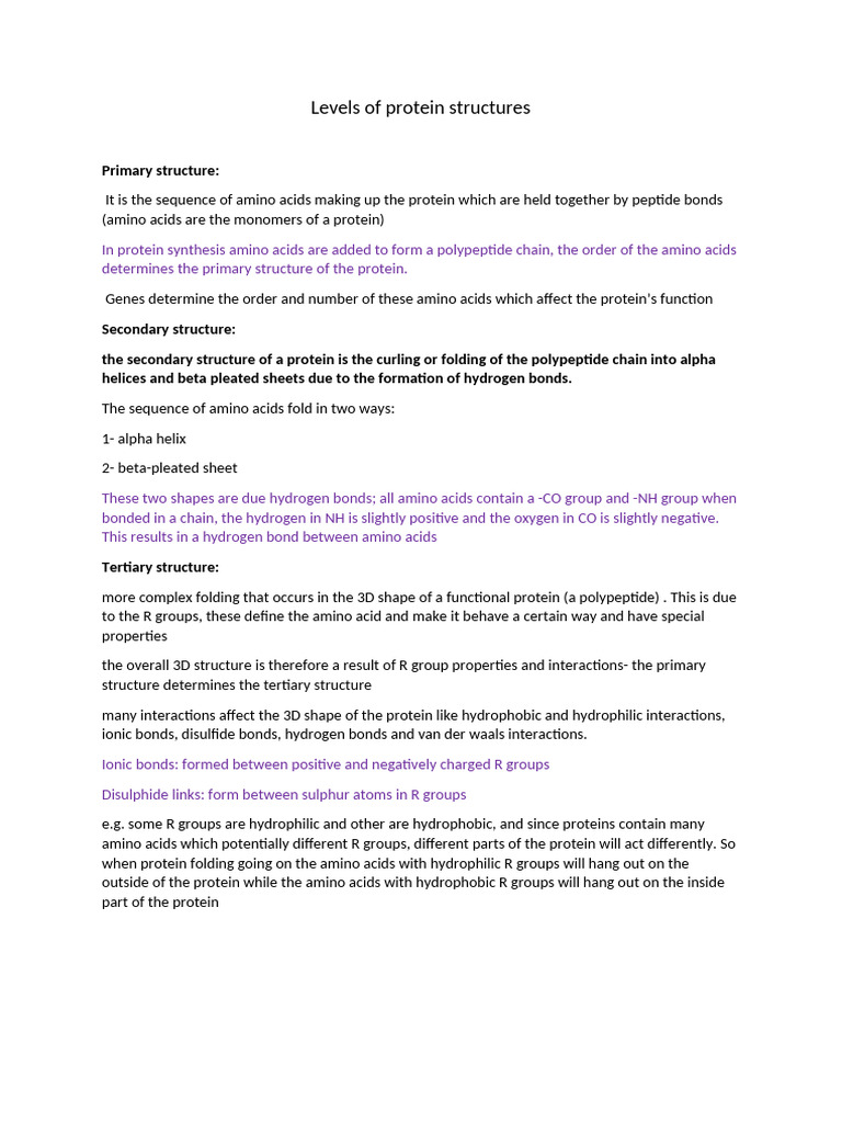 Levels Of Protein Structures Pdf Protein Structure Proteins