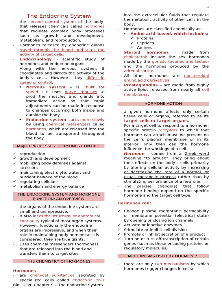Overview of the Endocrine System | PDF | Hormone | Endocrine System