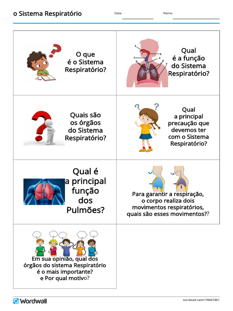 O Sistema Respiratório Flash Cards | PDF