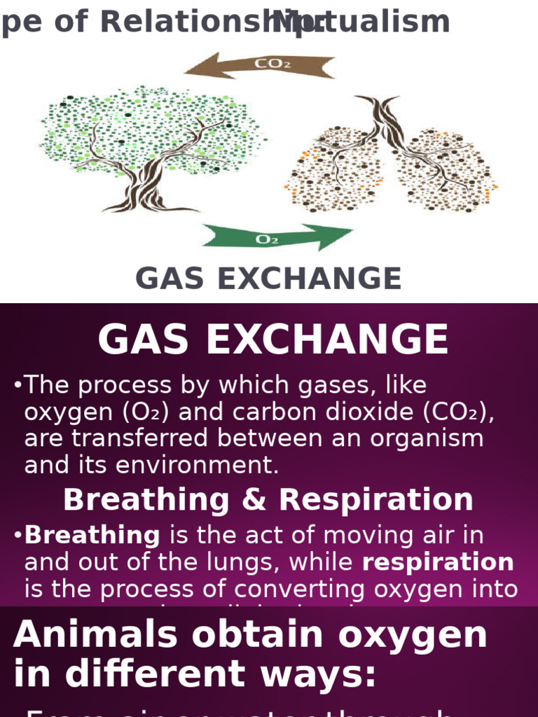 Ppp Gen Bio 2 Respiration and Circulation | PDF | Plant Stem | Blood