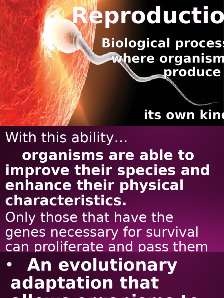 PPP Gen Bio Reproduction | PDF | Reproduction | Sexual Reproduction