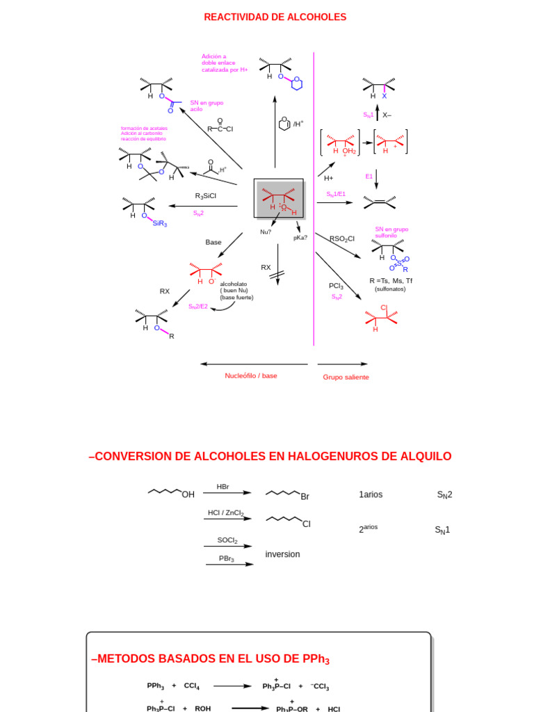 0.fichas de Interconversion GF | PDF | Química Orgánica | Química