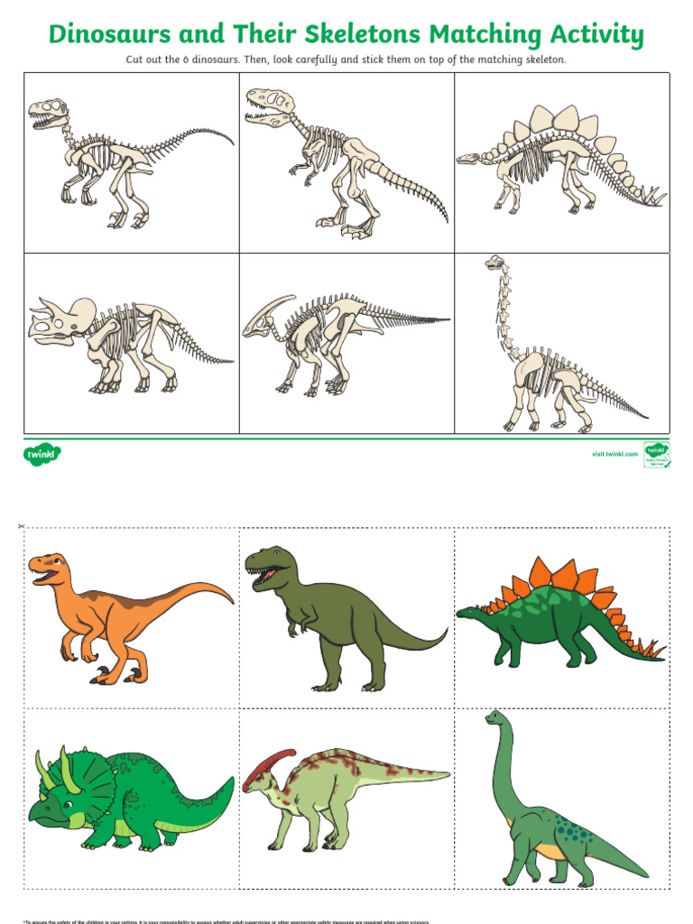 T TP 1654520398 Dinosaurs and Their Skeletons Matching Activity Ver 4 | PDF