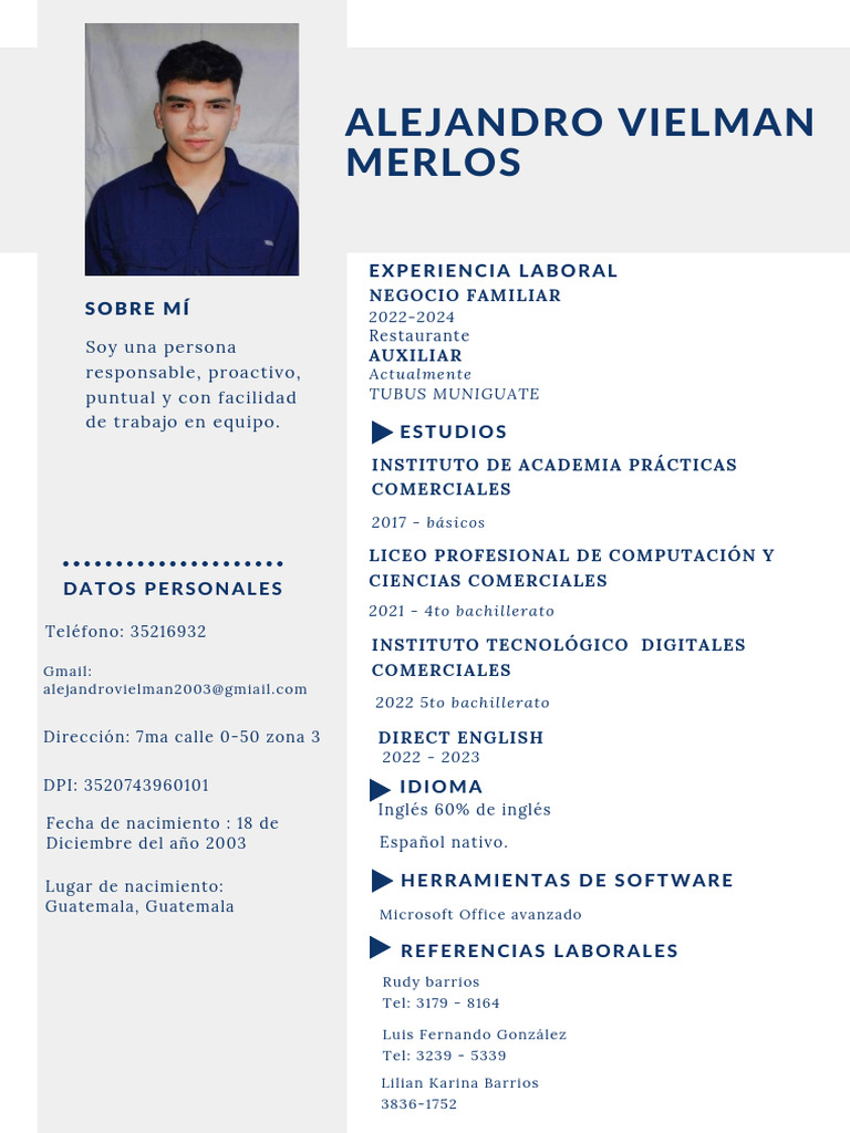 CV Alejandro Vielman Merlos | PDF