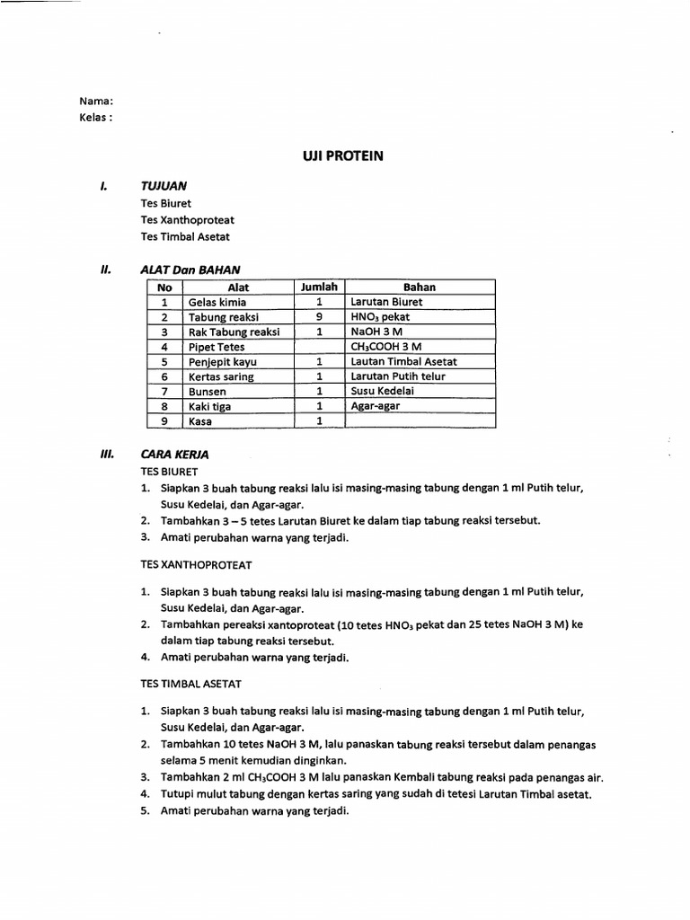 LKPD Uji Protein | PDF