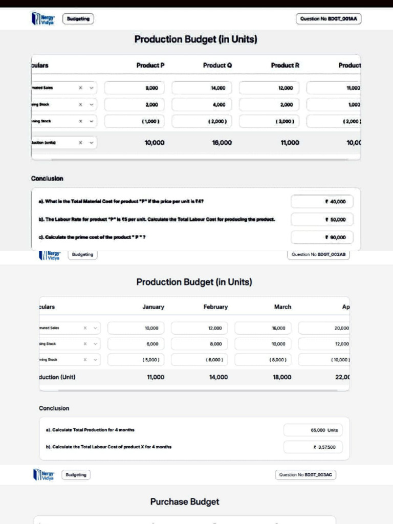 Budgeting Full Nergy | PDF | Budget | Payments