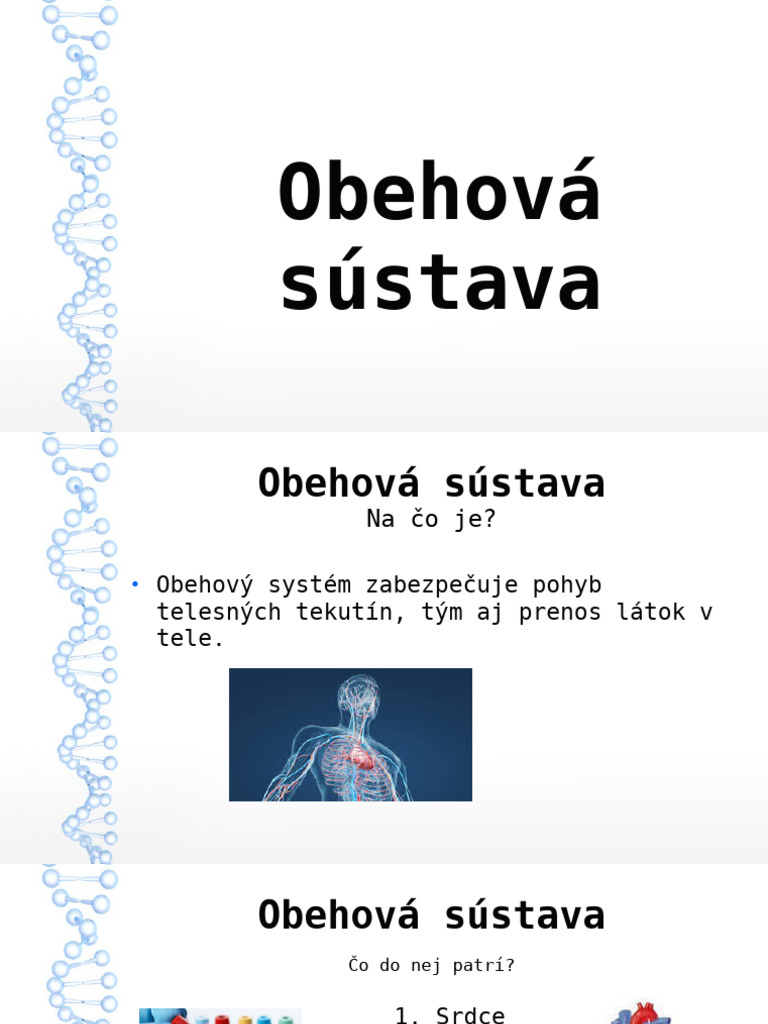 Obehová Sústava | PDF