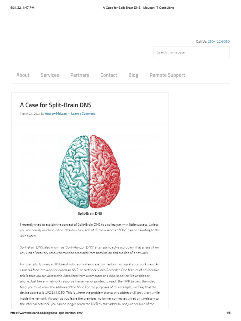 Split-Brain DNS - Explained Well | PDF | Domain Name System | Computer ...