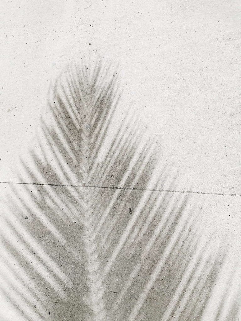 Unnamed Document(4) 2 | PDF