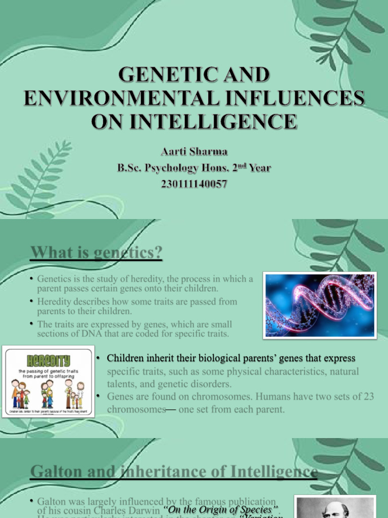 Genetic and Environmental Influences On Intelligence | PDF | Heredity ...