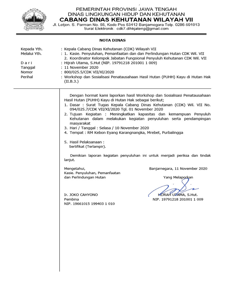 Laporan Workshop PUHH Kayu 2020 | PDF