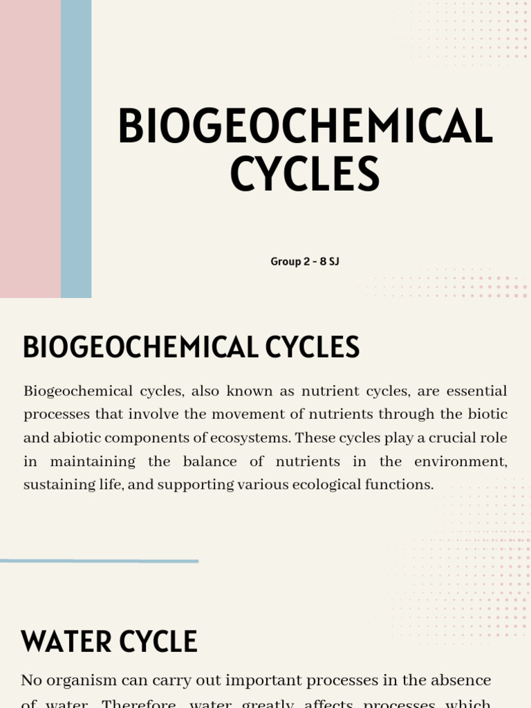 Biochemical Cycles | PDF | Nitrogen | Nitrate