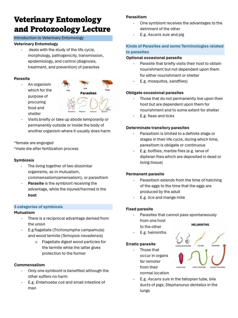Veterinary Entomology Basics | PDF | Mosquito | Insects