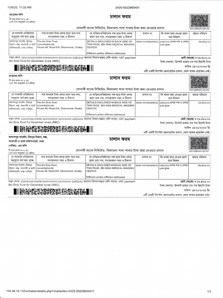 VAT Payment Ibn Sina Trust For December 2024 | PDF