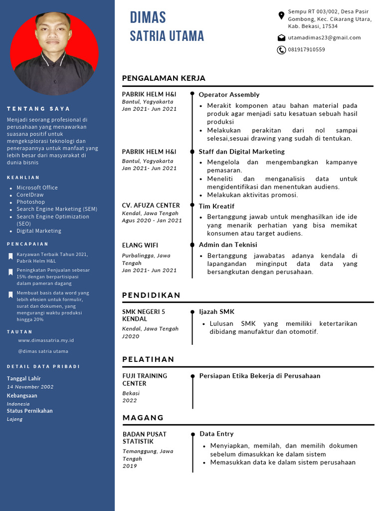 CV Dimas Satria | PDF