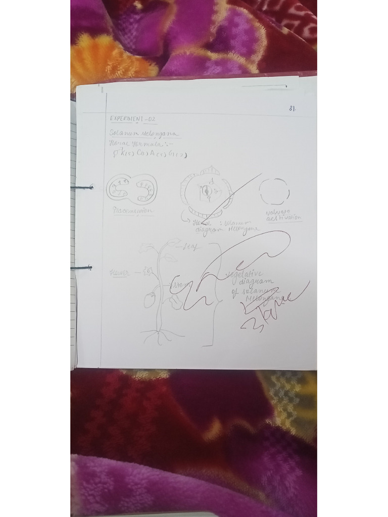 Bio Practical Works For Class 11 | PDF