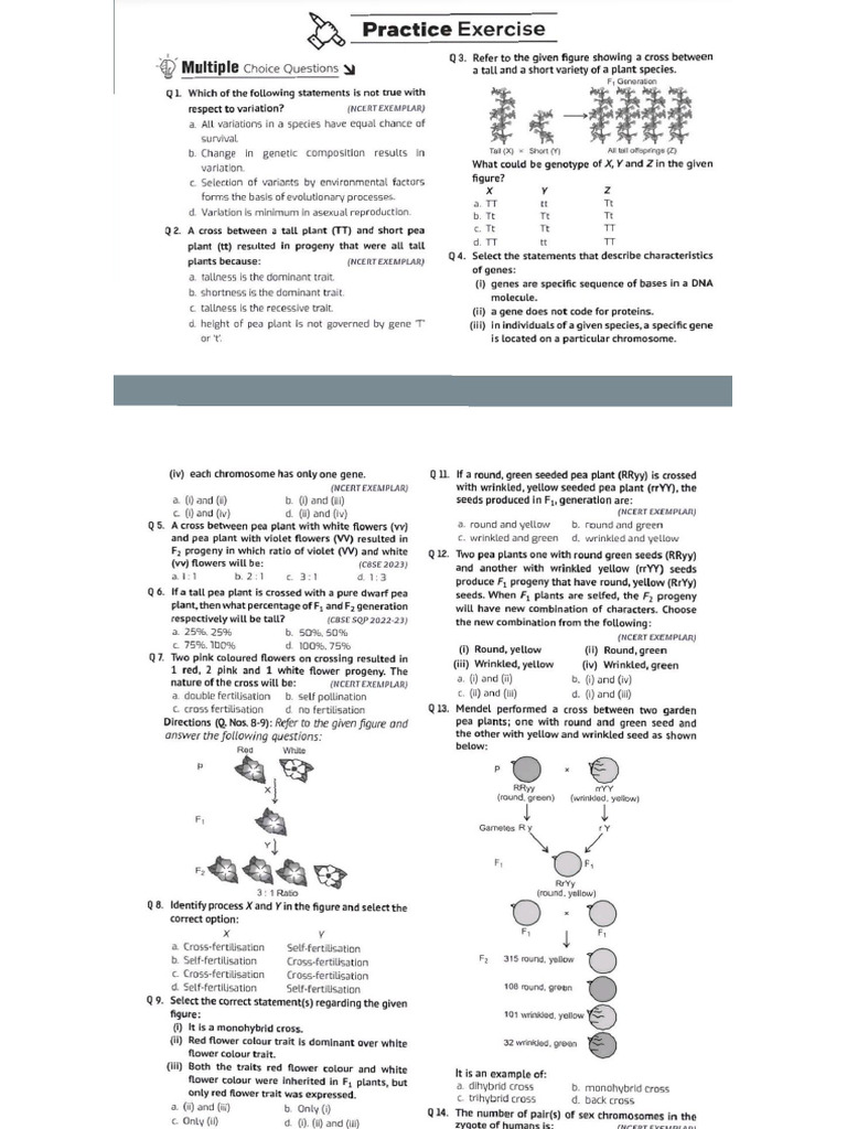 heredity and evolution | PDF