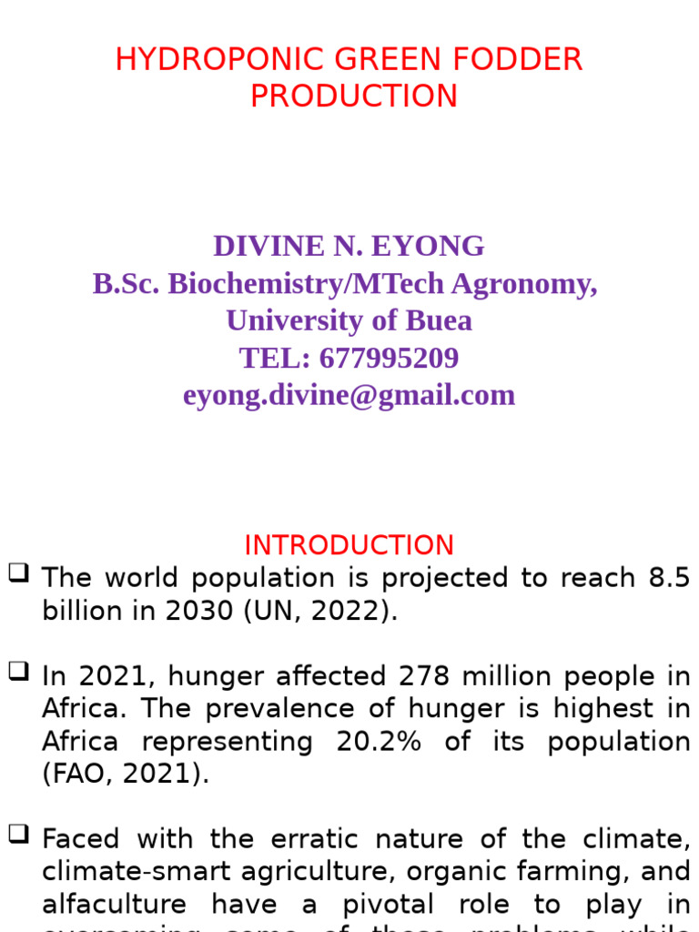 Hydroponic Fodder Production Guide | PDF | Fodder | Cereals