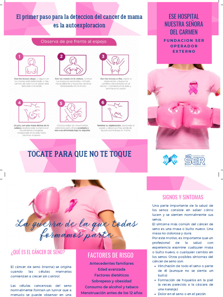 FOLLETO CANCER DE MAMA | PDF | Cáncer de mama | Pecho