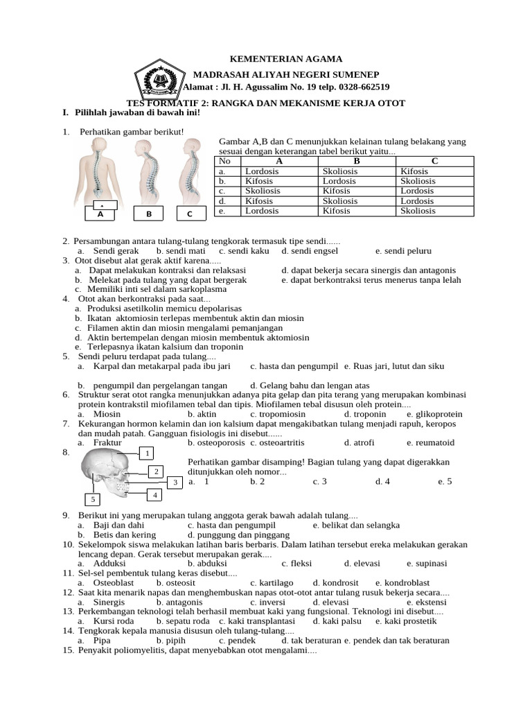 TF 2 Rangka Dan Otot | PDF