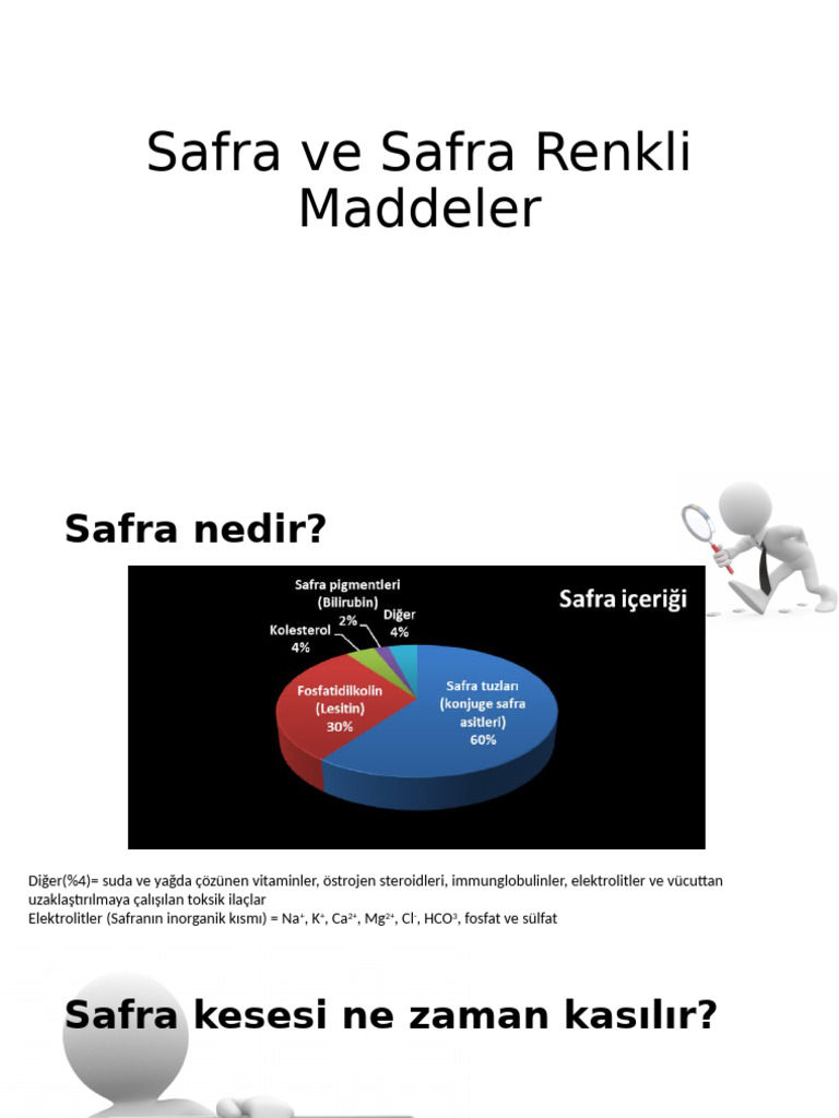 Safra | PDF